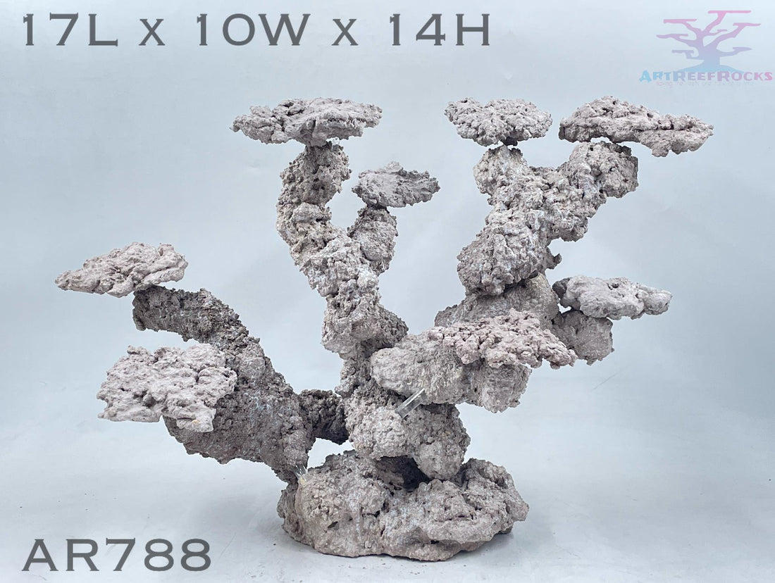 Sold Medium Art Reef Rock Structure WYSIWYG – Biggs Lagoon